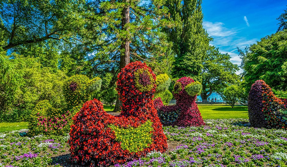 De Magie van het Zwarte Woud - Maaskant Reizen