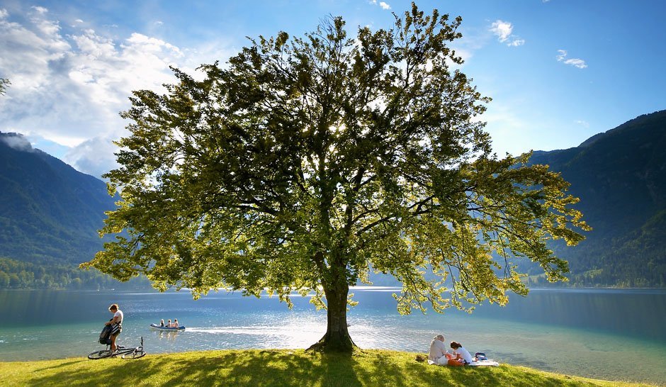 Het meer van Bohinj; Sloveense Alpen